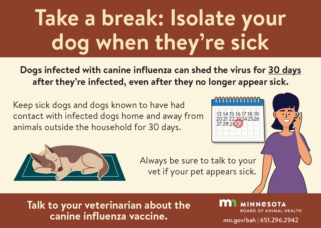 Dogs and Cats | Minnesota Board of Animal Health